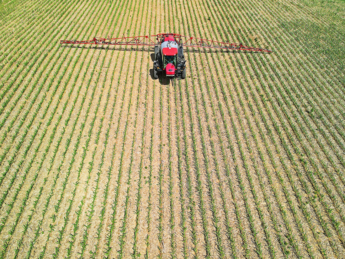 Sweet corn makes early debut this year | News, Sports, Jobs - Altoona ...